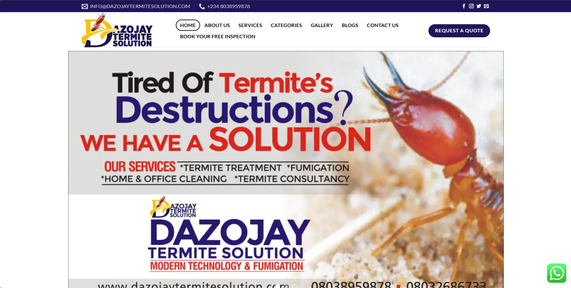 Revamping Dazo Jay Termite Solution's Online Presence - Panda Startups